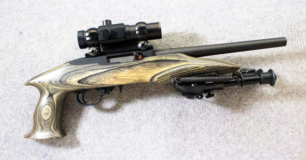 Ruger 10/22 – Ch. 10: ALMOST 10/22s – Scott Duff Historic Martial Arms ...